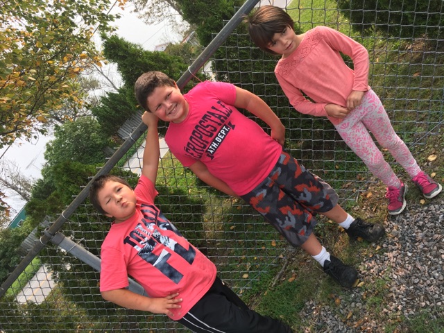 Proud to wear pink: Students in Rainbow Schools stand up against ...