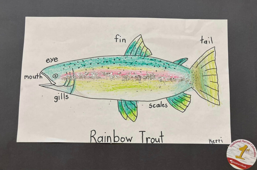 October 13: Rainbow Board hosts its first Traditional Harvest ...